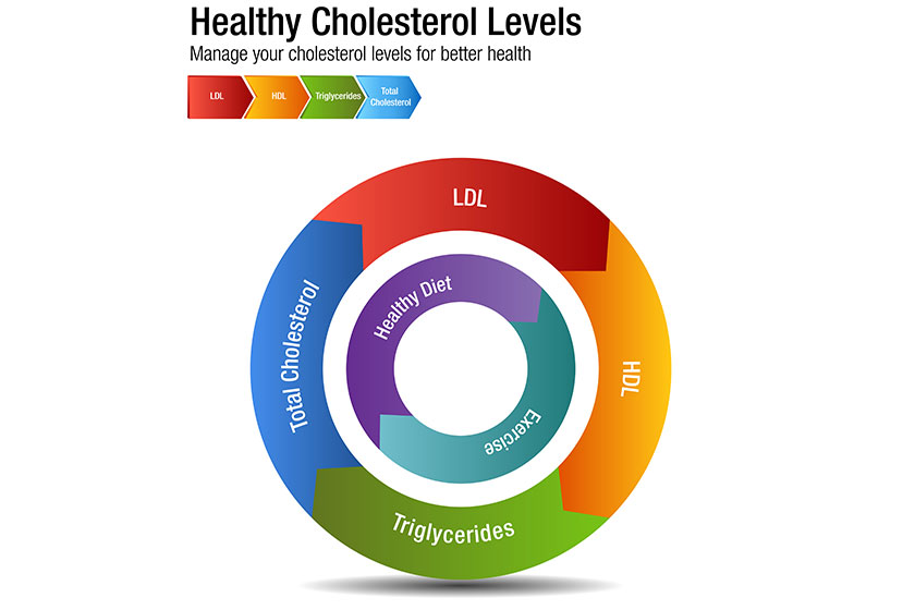 High Density Lipoprotein Cholesterol Chart