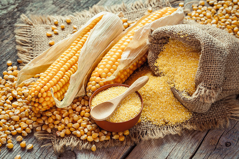 Why Your Loved Ones Should Consume More Corn – Morada Senior Living