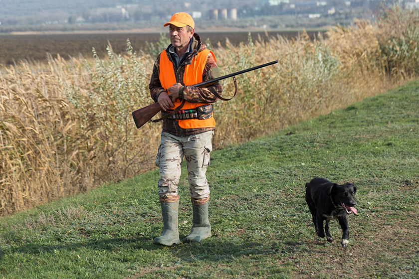 Exploring The Best Public Hunting Spots Near Your Independent Living ...