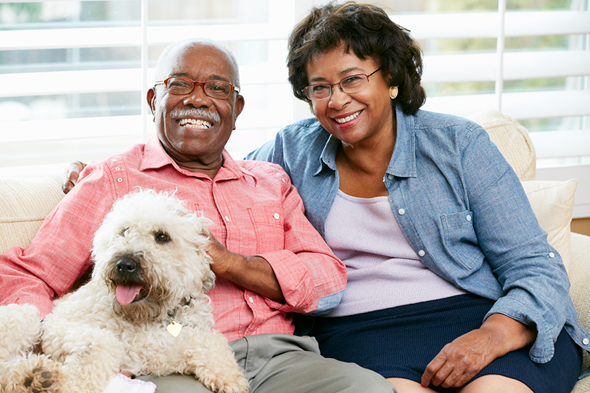 How Adopting Pets Keeps You Independent And Active In An Independent ...