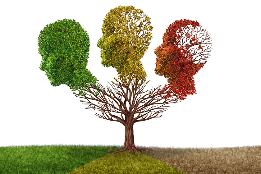 10 Signs Of Cognitive Decline To Be Aware Of As You Age – Morada Senior ...