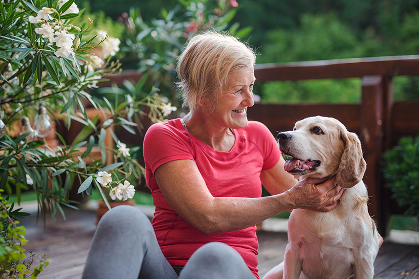 Finding Your Source Of Joy After Retirement – Morada Senior Living