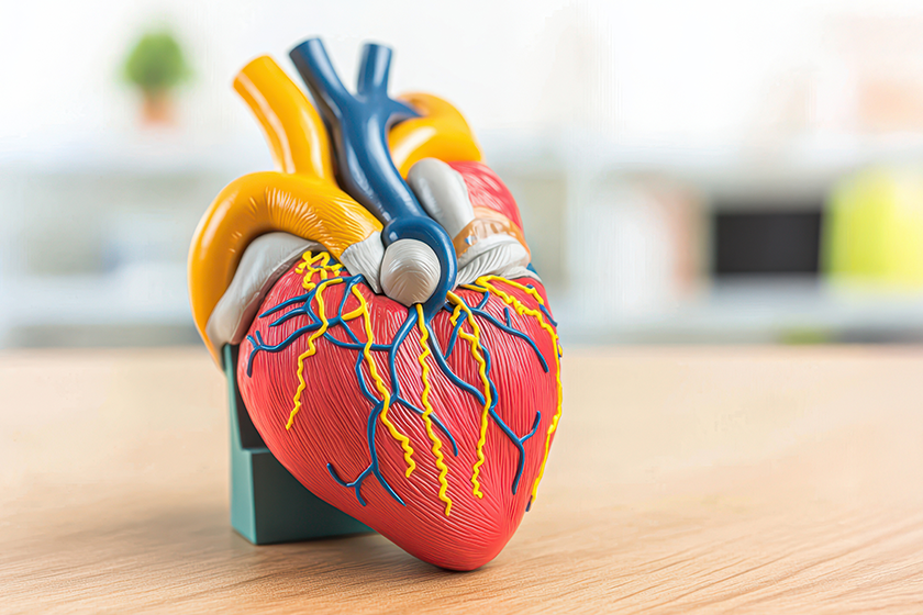 Atrial Fibrillation And Senior Life Expectancy: What You Need To Know ...